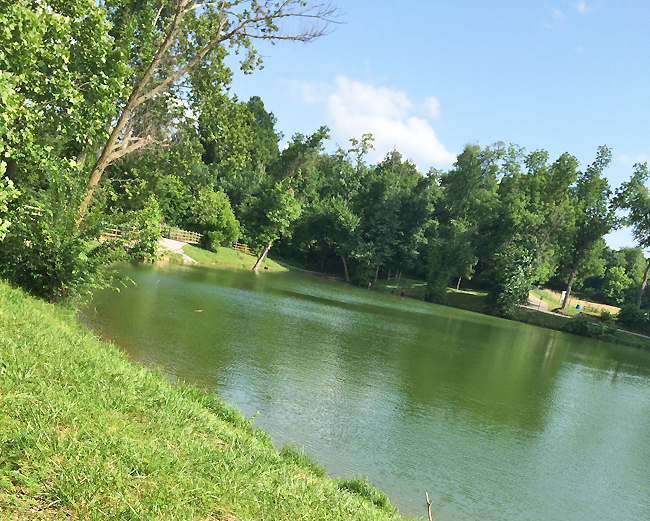 Viewing Fall Foliage In and Around Northwest Arkansas | Only In Arkansas