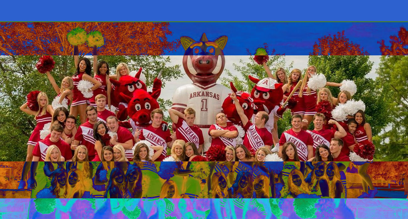 Only in Arkansas Building the U of A Mascot Program - Go Big Red - Only ...