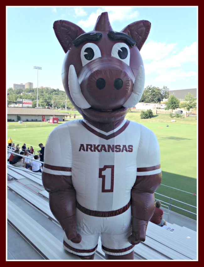 The Dos and Don’ts of Razorback Fandom | Only In Arkansas