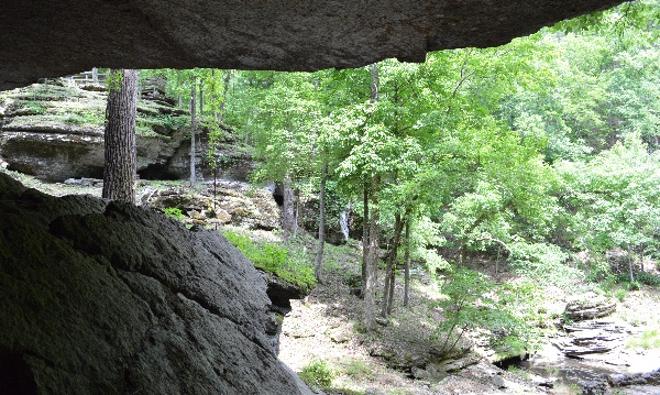 Fossils in the Ozark Mountains | Only In Arkansas