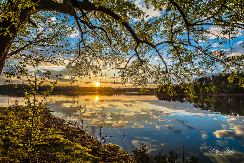 Photo of the Week: Arlie Moore Recreation - Only In Arkansas