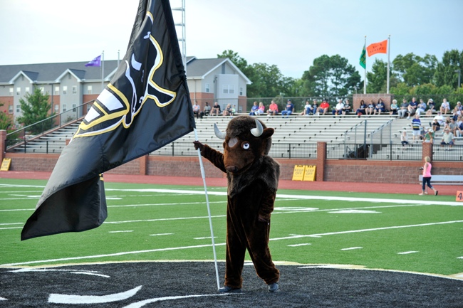 The History of Arkansas Mascots | Only In Arkansas