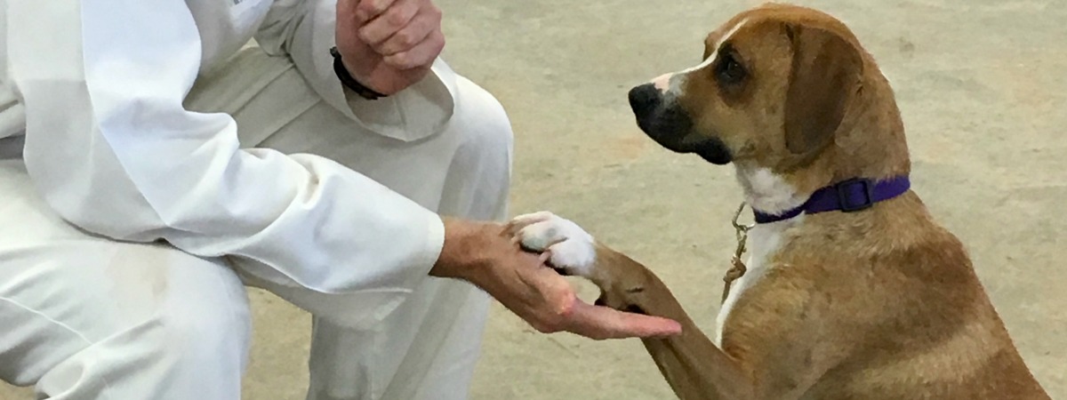 Paws in Prison | Only In Arkansas