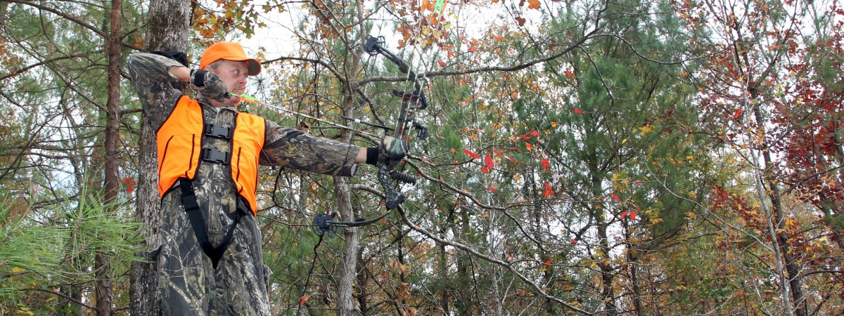 Urban Archery Hunting in Arkansas | Only In Arkansas