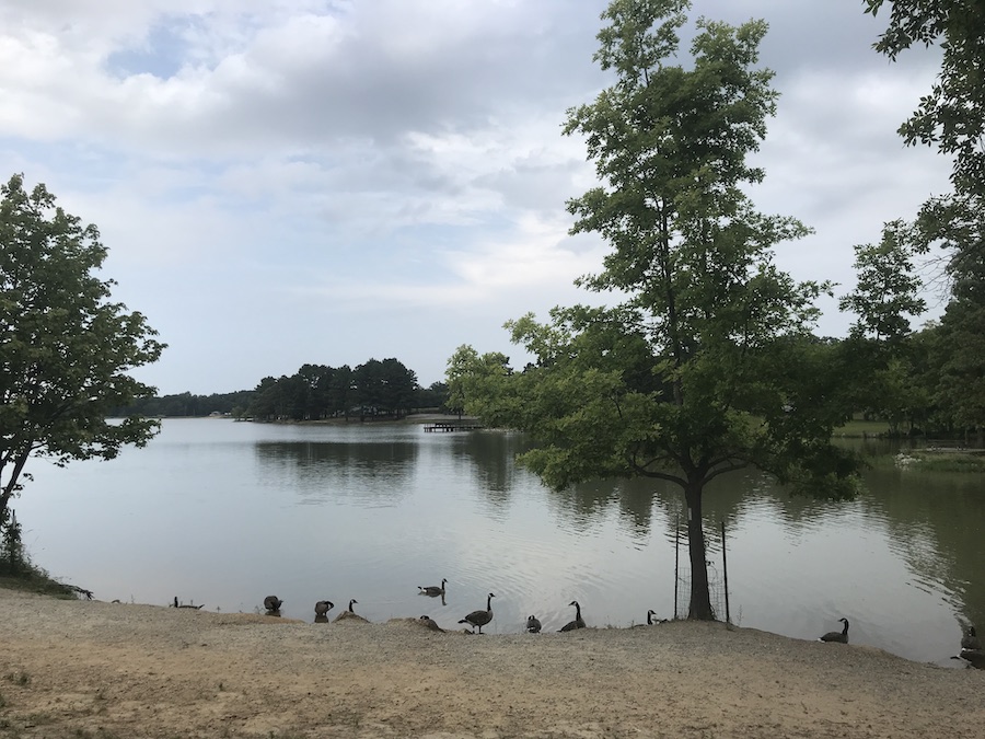Craighead Forest Park | Only In Arkansas