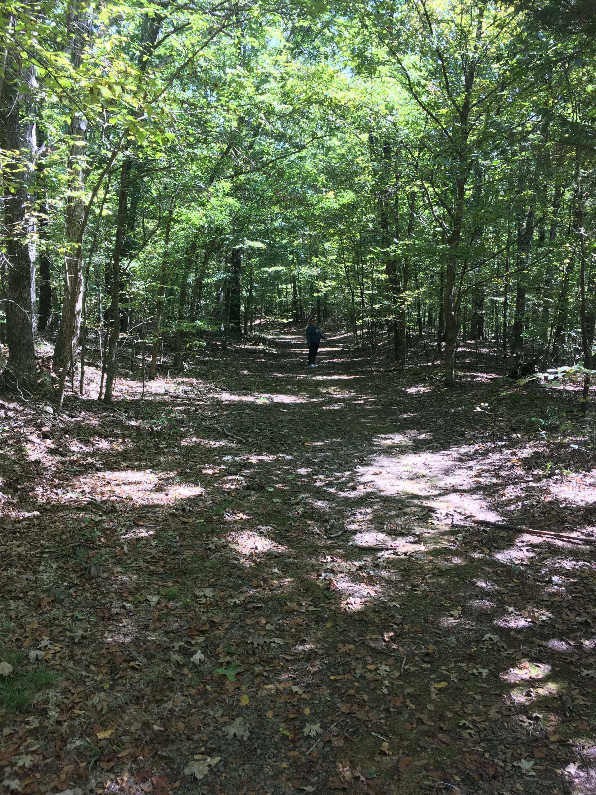 Footsteps of History on the Old Military Road | Only In Arkansas