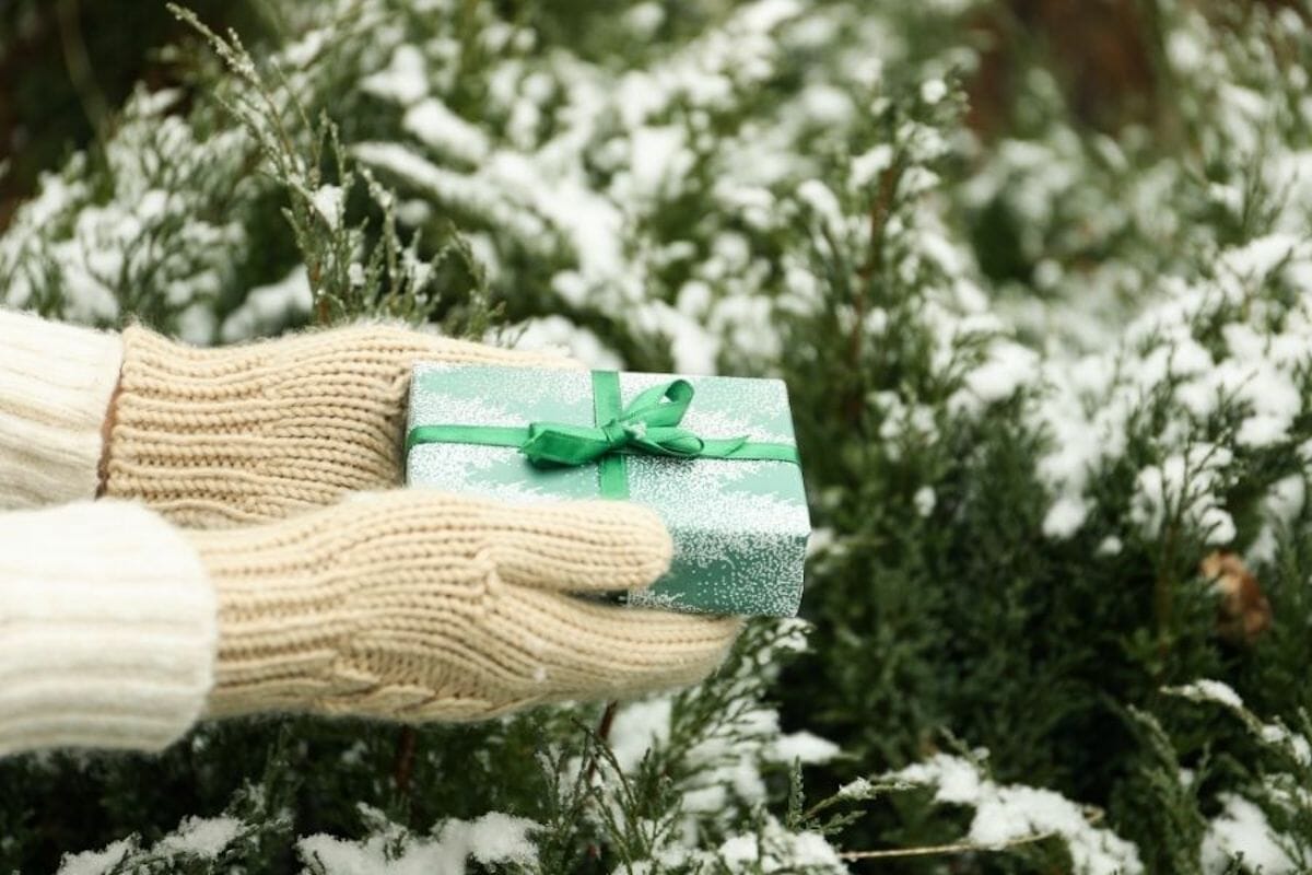 Arkansas Outdoor Gift Guide - Only In Arkansas