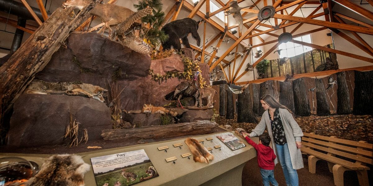 Time to Visit an Arkansas Nature Center - Only In Arkansas