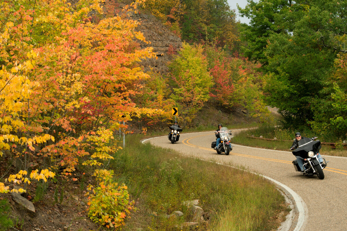 The Best Trees for Fall Colors in Arkansas - Only In Arkansas