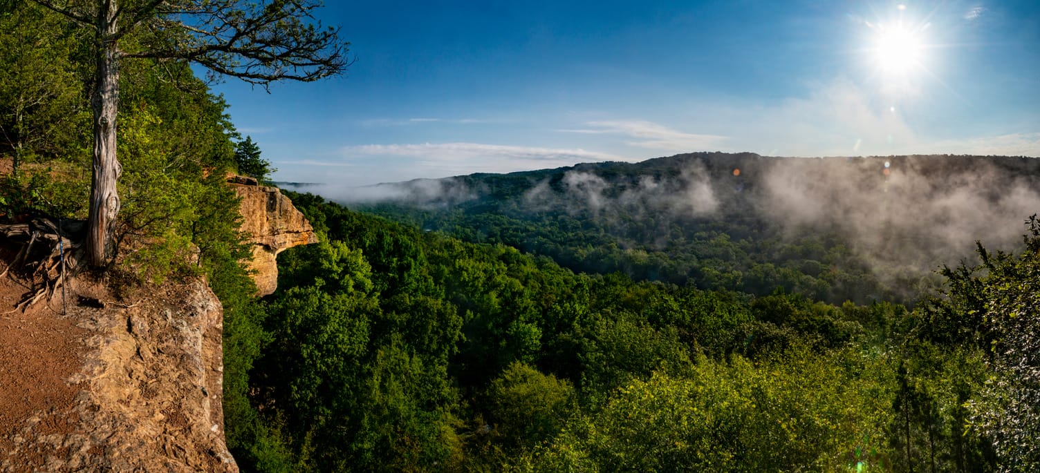 Earth Day: Buy in Bulk to Better the Natural State - Only In Arkansas