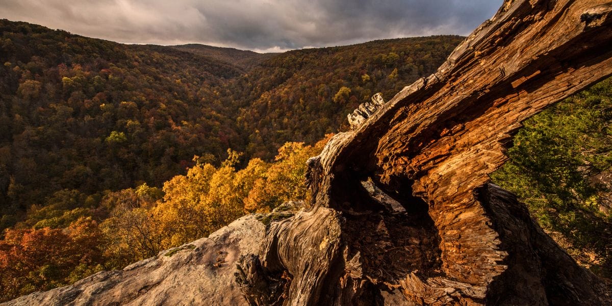 The Seven Wonders of Arkansas - Only In Arkansas