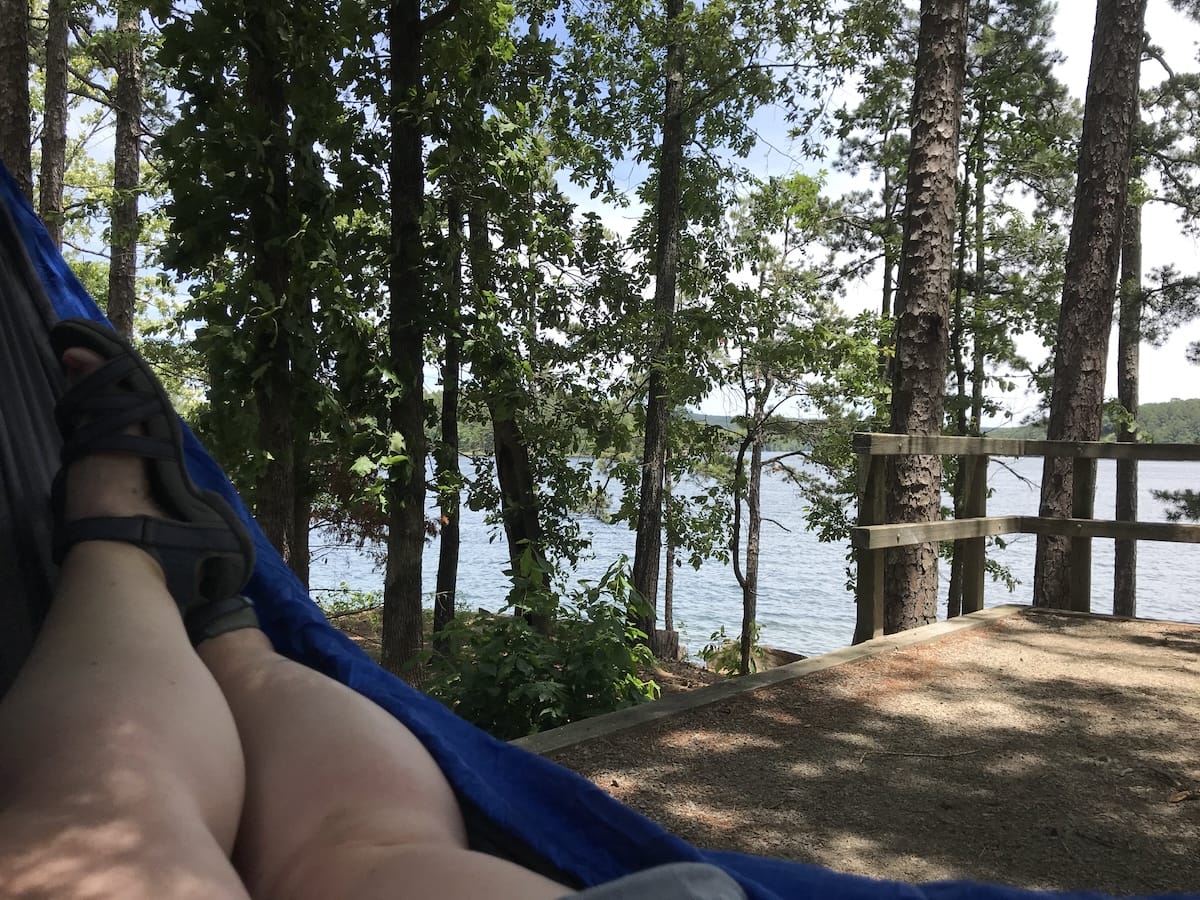 July Nature Journaling – Savor the Shade - Only In Arkansas