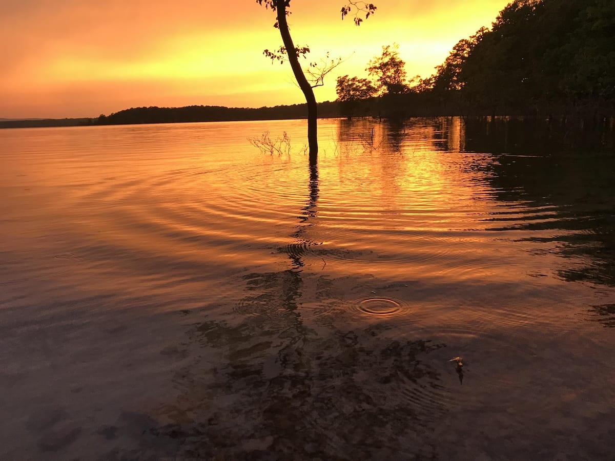 August Nature Journal – Golden Light and Summer’s Fade - Only In Arkansas